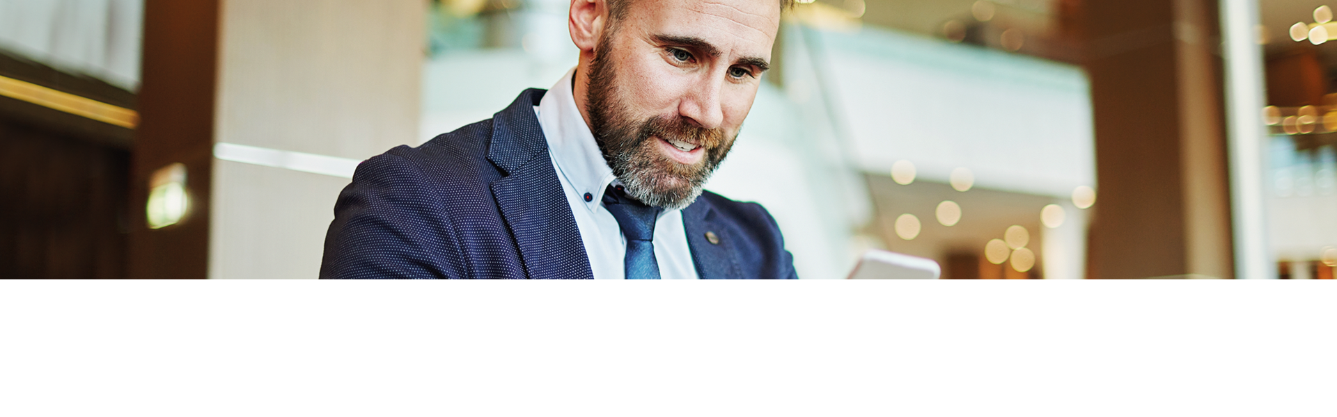 VIP Assistant - Software for VIP and Visitor Services - Modular structure